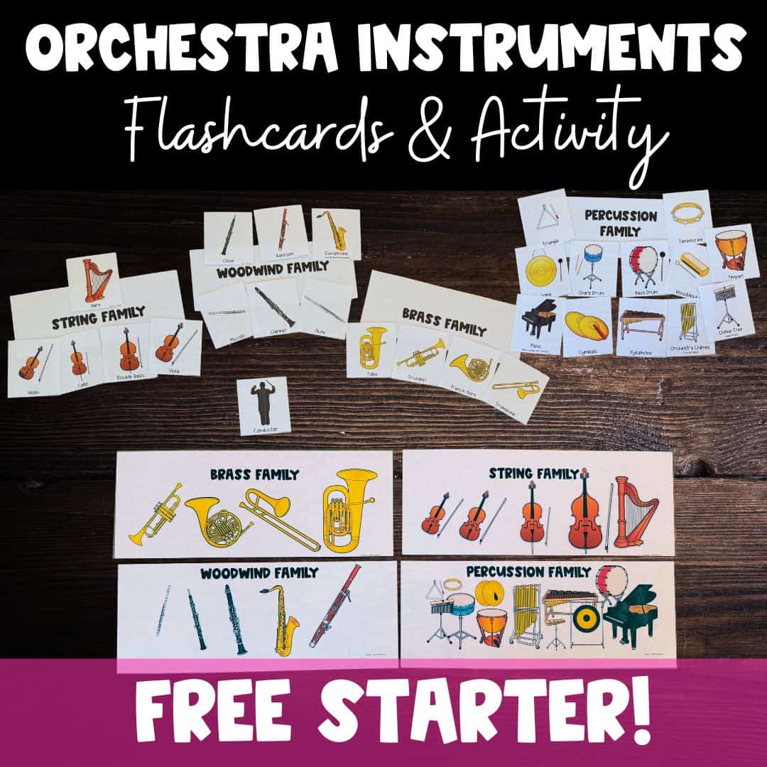 Free Orchestra Instruments Flashcards & Sorting Activity - Wildflower ...